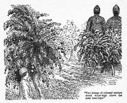 Clark Ashton Smith: Nihilistic Transcendence by Antolin Gibson